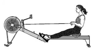 Technique for the New Rower